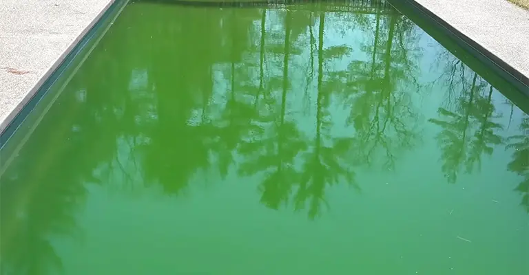 How Long Can Water Sit In A Pool Without Chlorine?