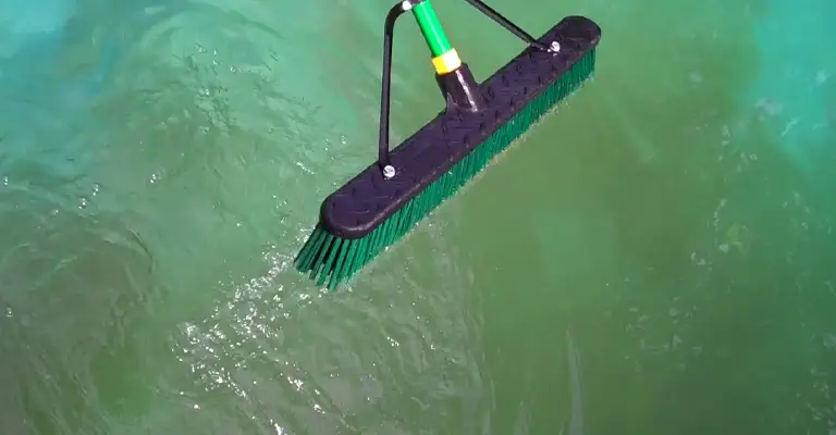 How To Get Rid Of Pool Algae Of Any Type [A Hands-On Approach]