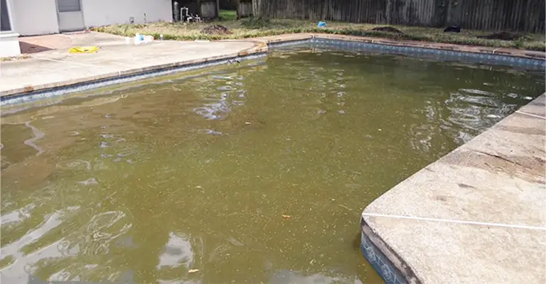 How To Get Rid Of Pool Algae Of Any Type [A Hands-On Approach]