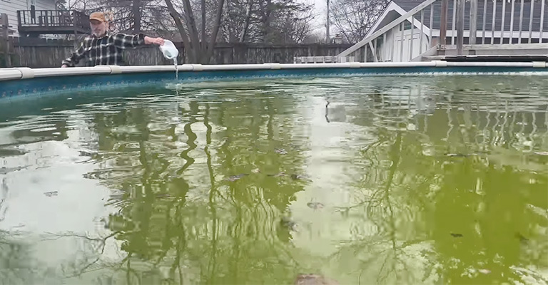Does Pollen Sink To The Bottom Of Pool & How Do I Get Rid Of Them?