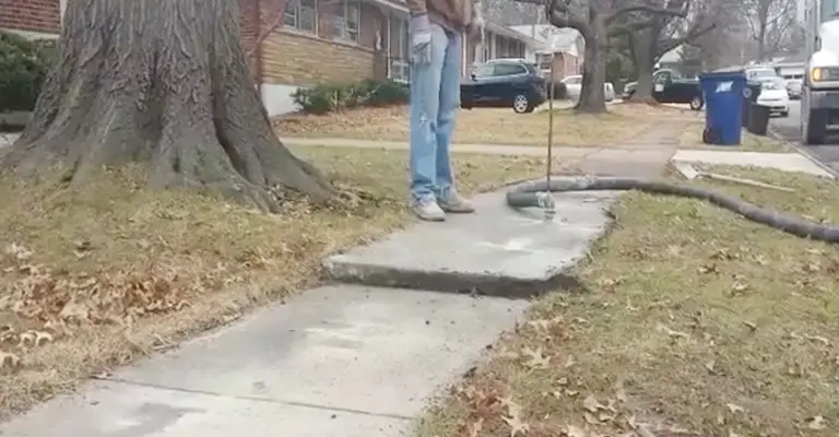 I Poured Concrete Over Tree Roots Accidentally, What Do I Do?