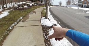 I Poured Concrete Over Tree Roots Accidentally, What Do I Do?