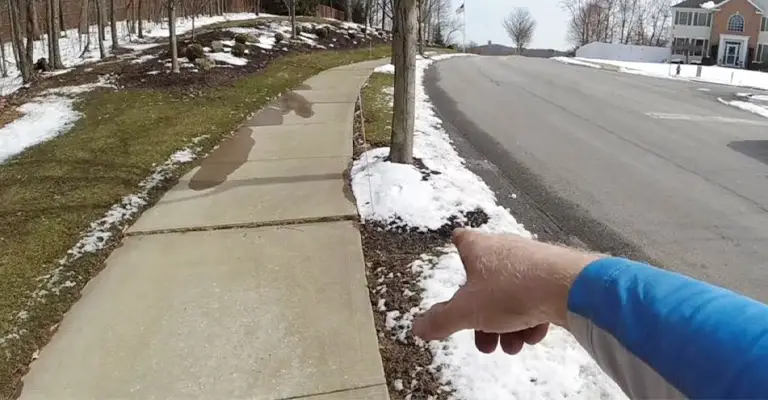 I Poured Concrete Over Tree Roots Accidentally, What Do I Do?