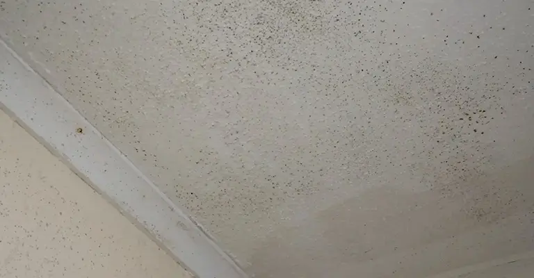 How To Get Rid Of Black Spots On Ceiling Above Shower?