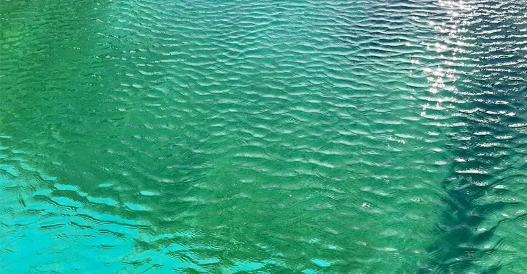 Why Is My Pool Slimy And What To Do About It?