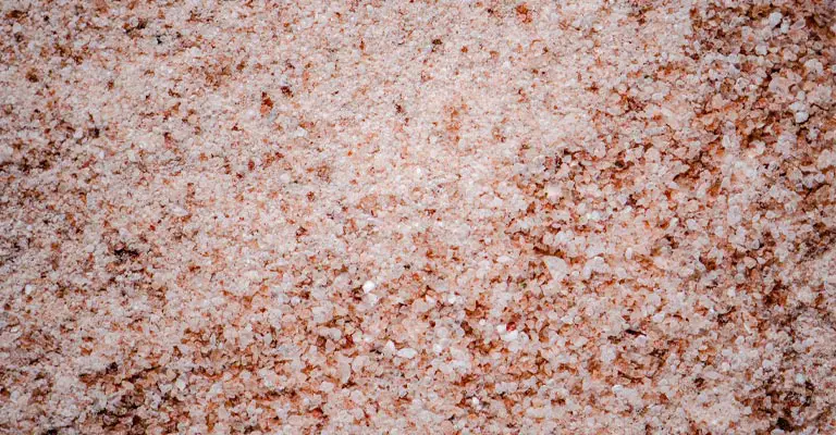 Effective Ways To Dissolve Tree Roots In Sewer Lines