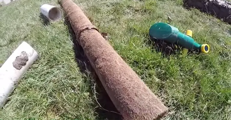 Effective Ways To Dissolve Tree Roots In Sewer Lines